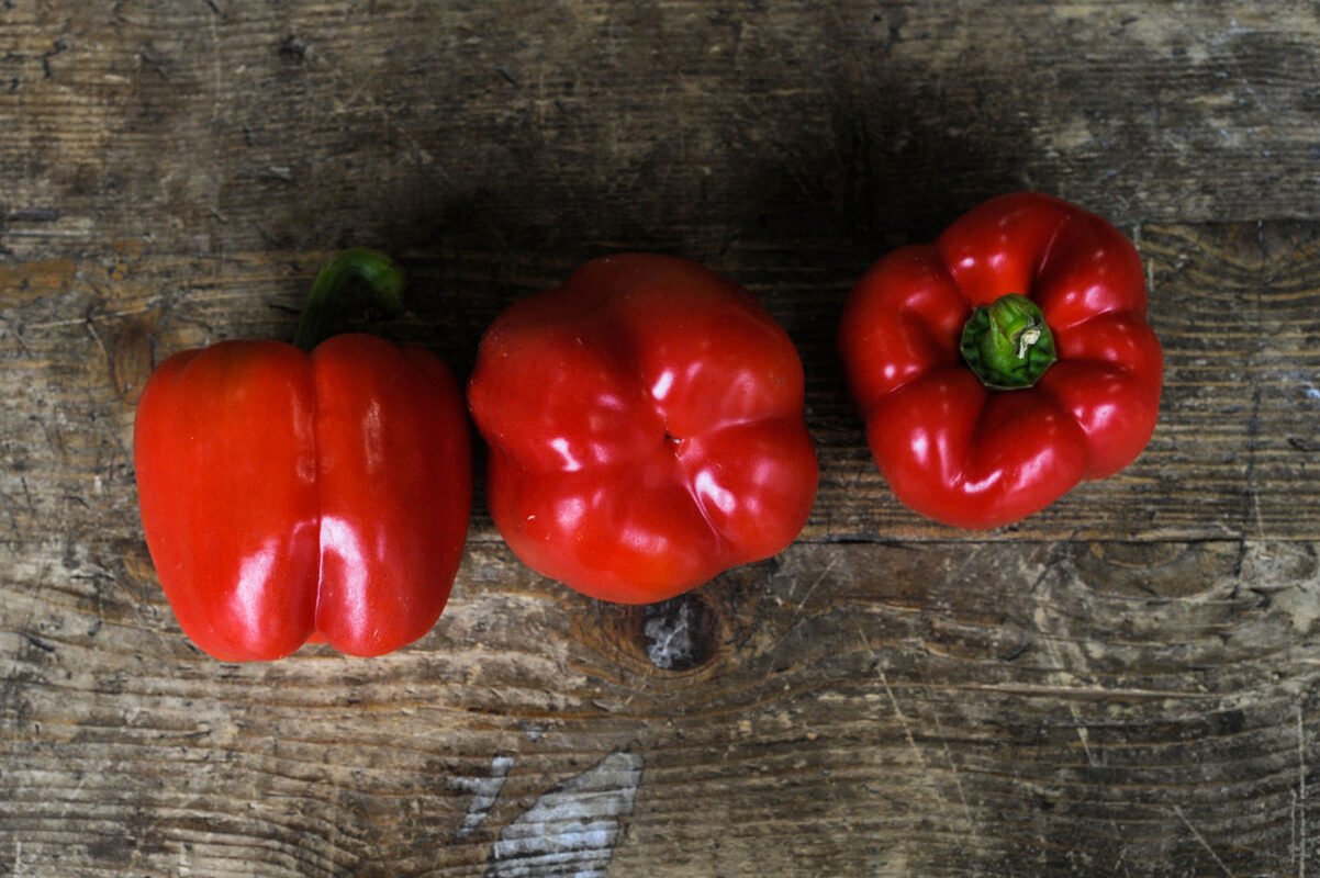 Paprika rdeča – Plod